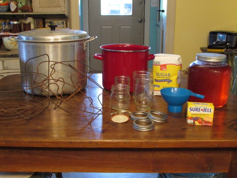 Jelly-Making Made Simple – A Reason For Homeschool